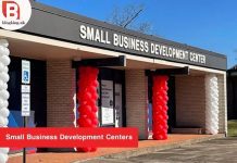 Empowering Entrepreneurs To Small Business Development Centers